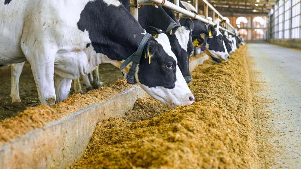 MK-V Dairy Feed Pusher | Monarch Tractor