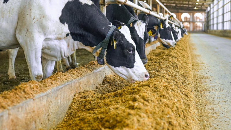MK-V Dairy Feed Pusher | Monarch Tractor