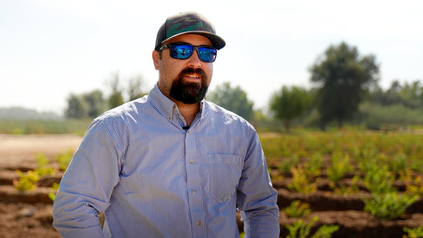 Apple Orchards with AgriMACS Inc., Mark Stennes