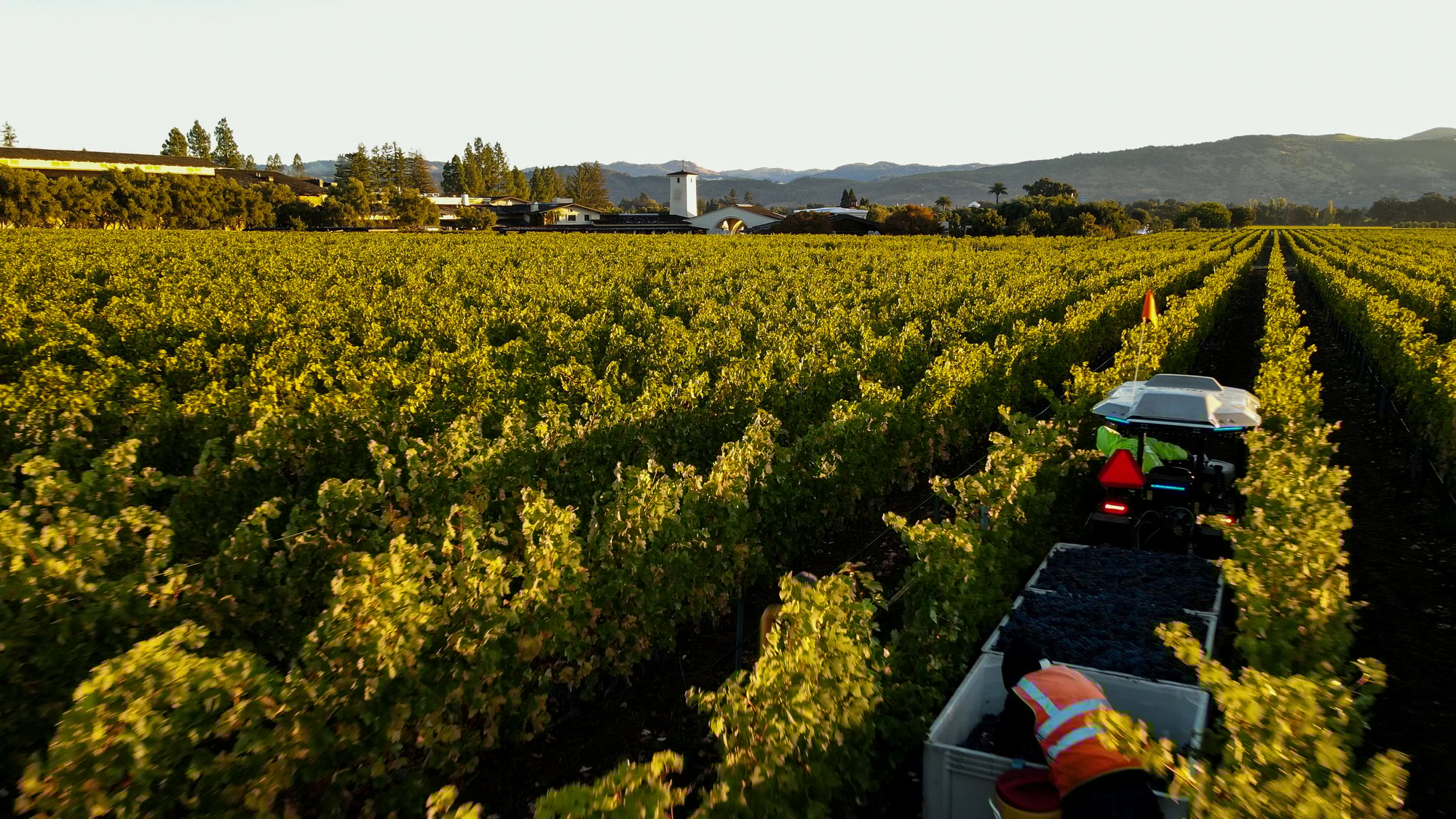 Constellation Brands' First Year With the MK-V - Experience