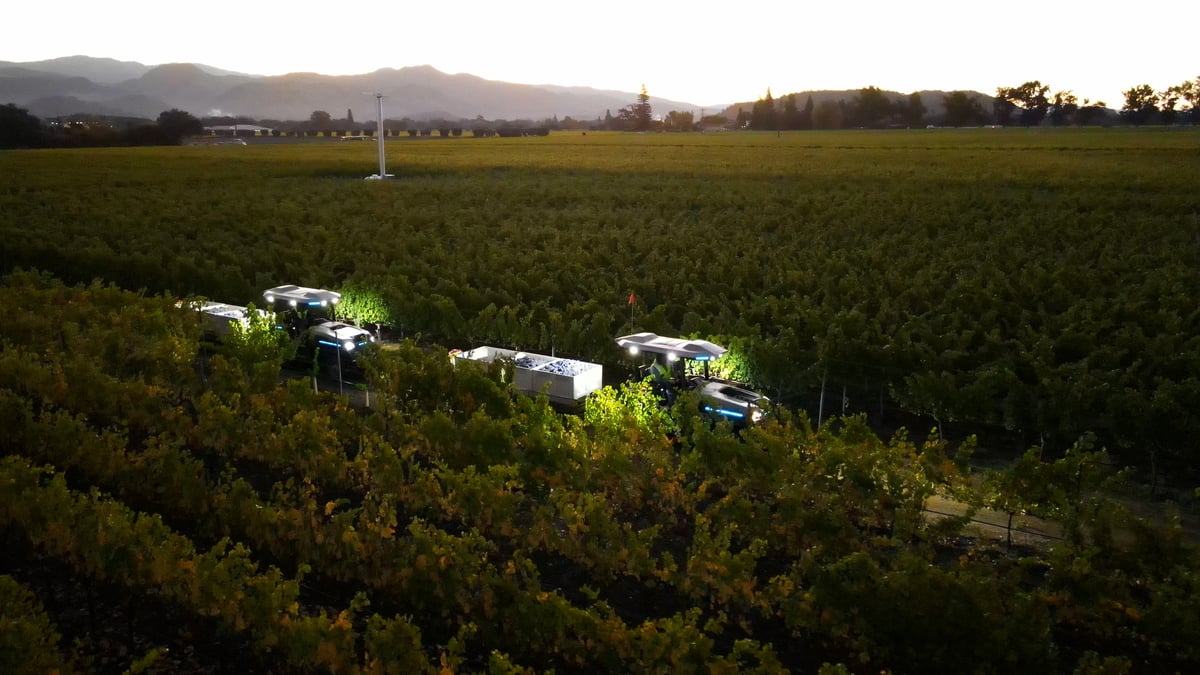 MK-V Vineyard Tractor| Monarch Tractor