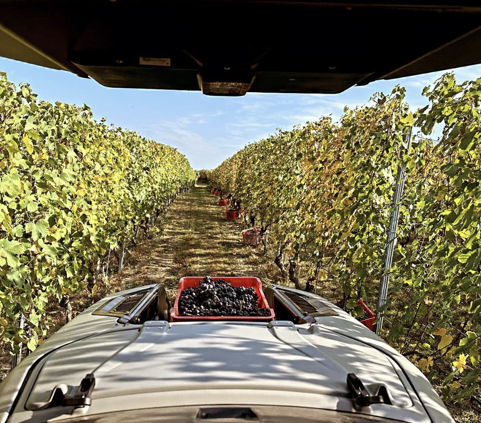 Monarch Tractor Accelerating AgTech Development with NVIDIA Robotics