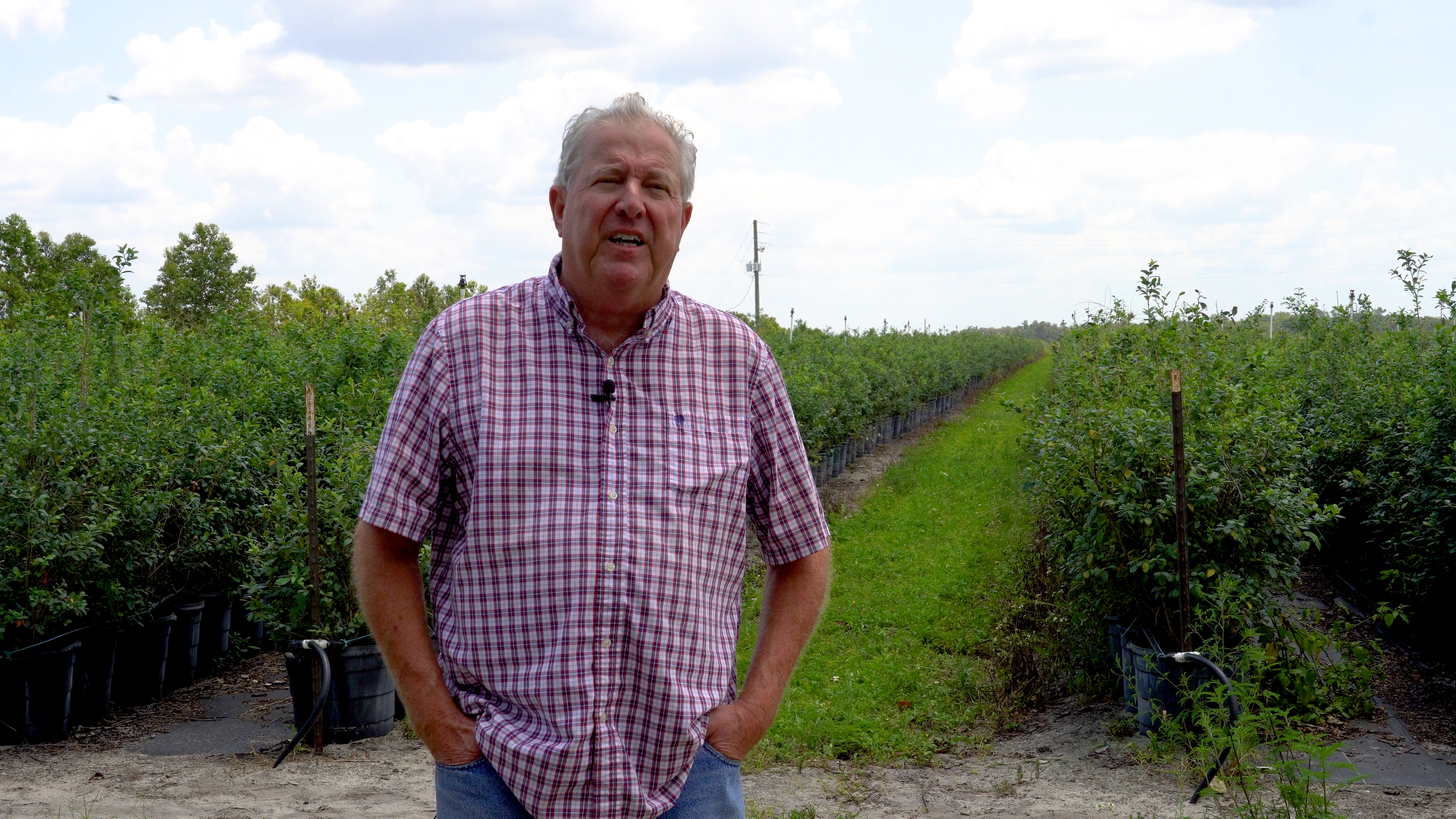 Autonomous Tractor Blueberry Farm Demo - Experience