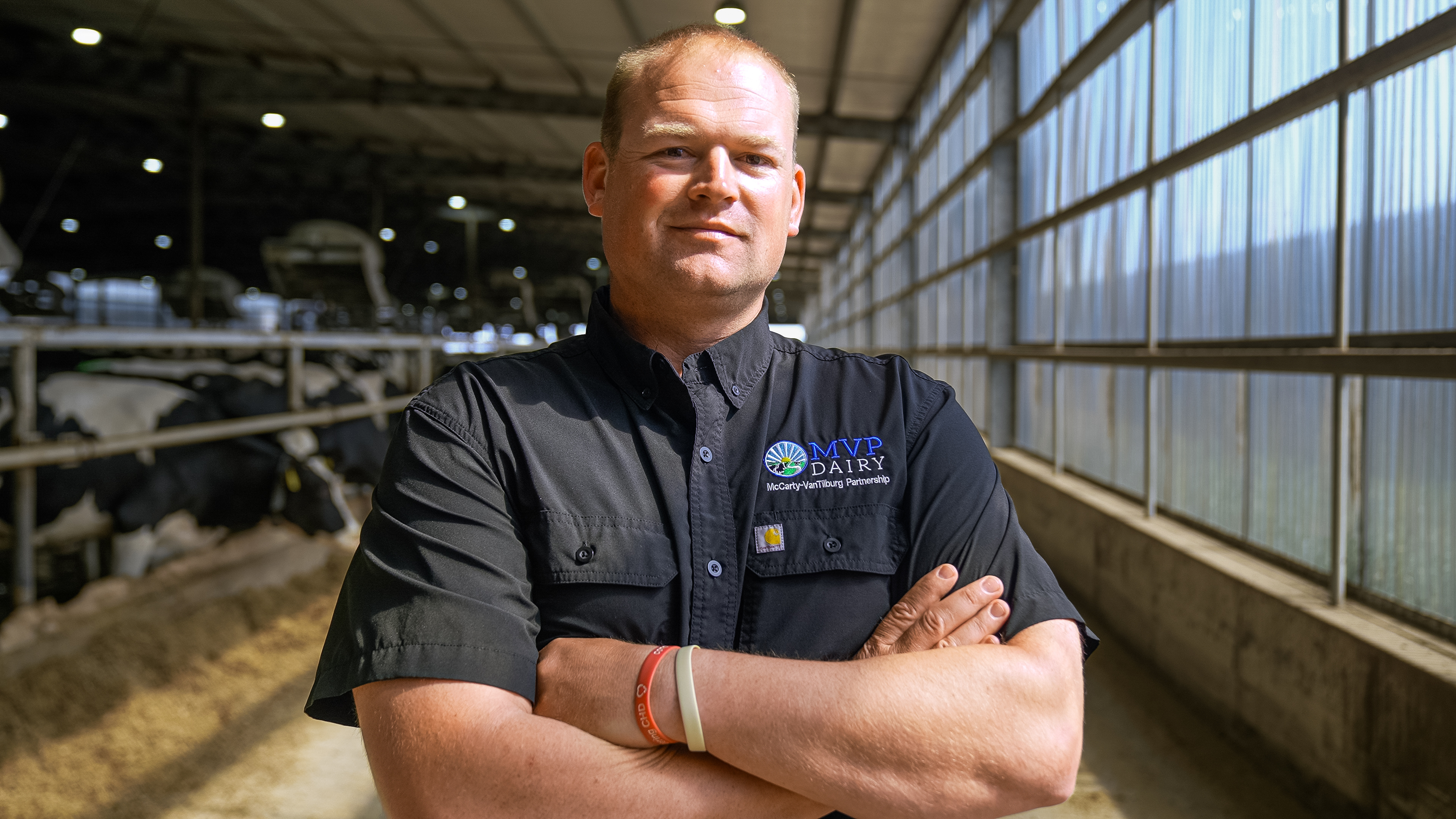 MVP Dairy Cuts Costs & Boosts Efficiency through Electrification ...